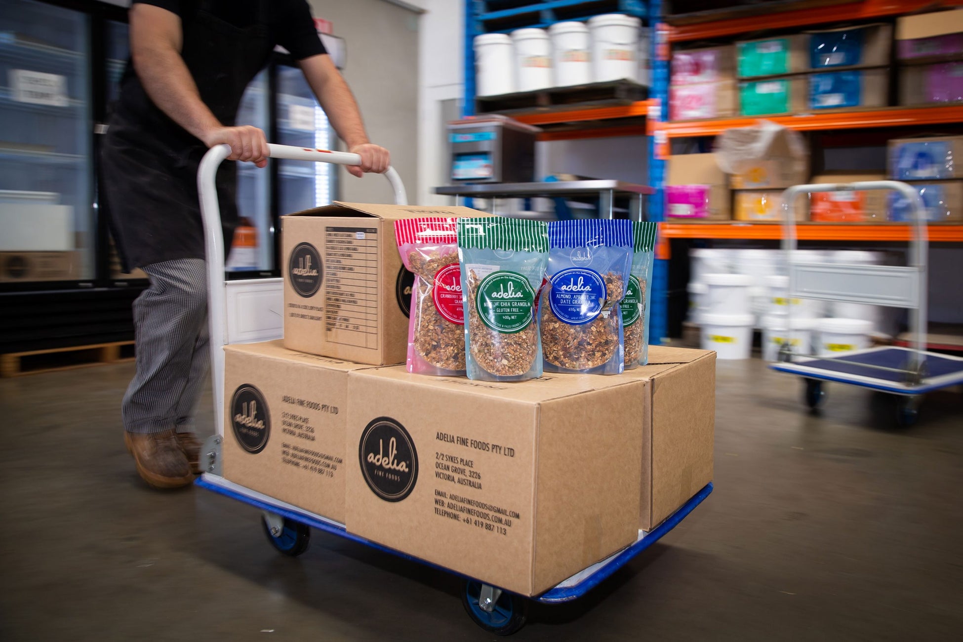 About Us – ADELIA FINE FOODS